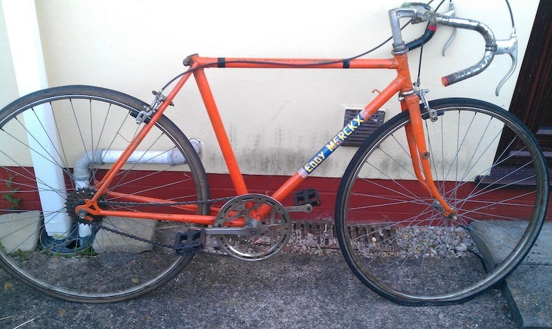 Single Speed Build - To restore or not to restore? | Retrobike